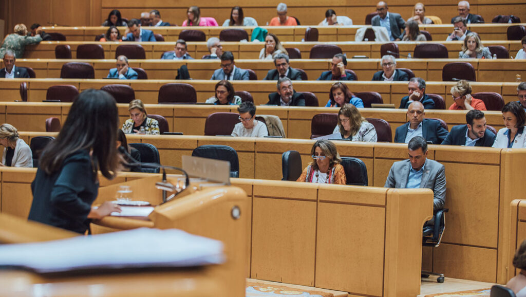 Millán, a Sánchez: "Está aquí por su interés personal, mientras que ...