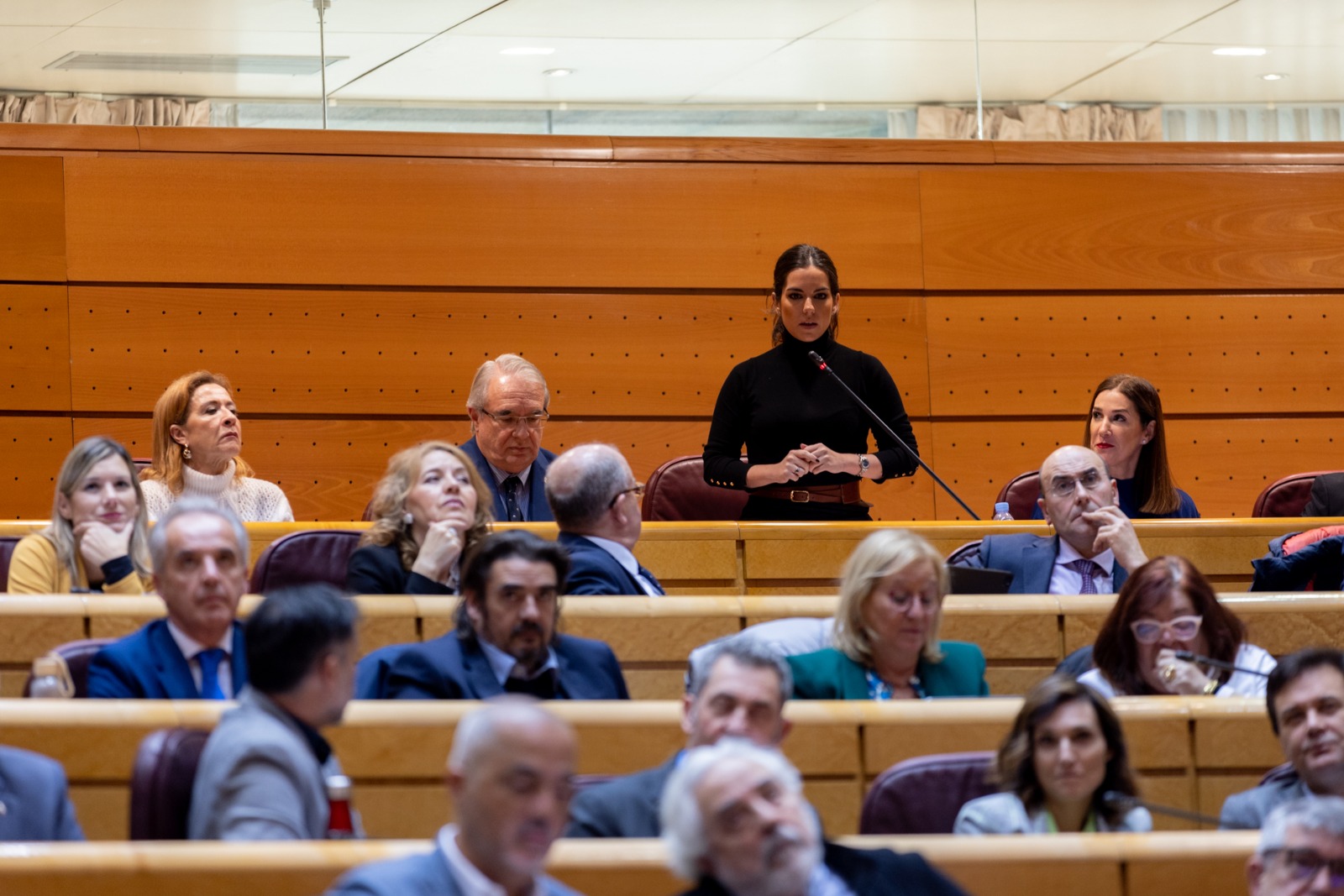 Millán, a Sánchez: "Su Gobierno es un peligro para la Democracia, pero ...
