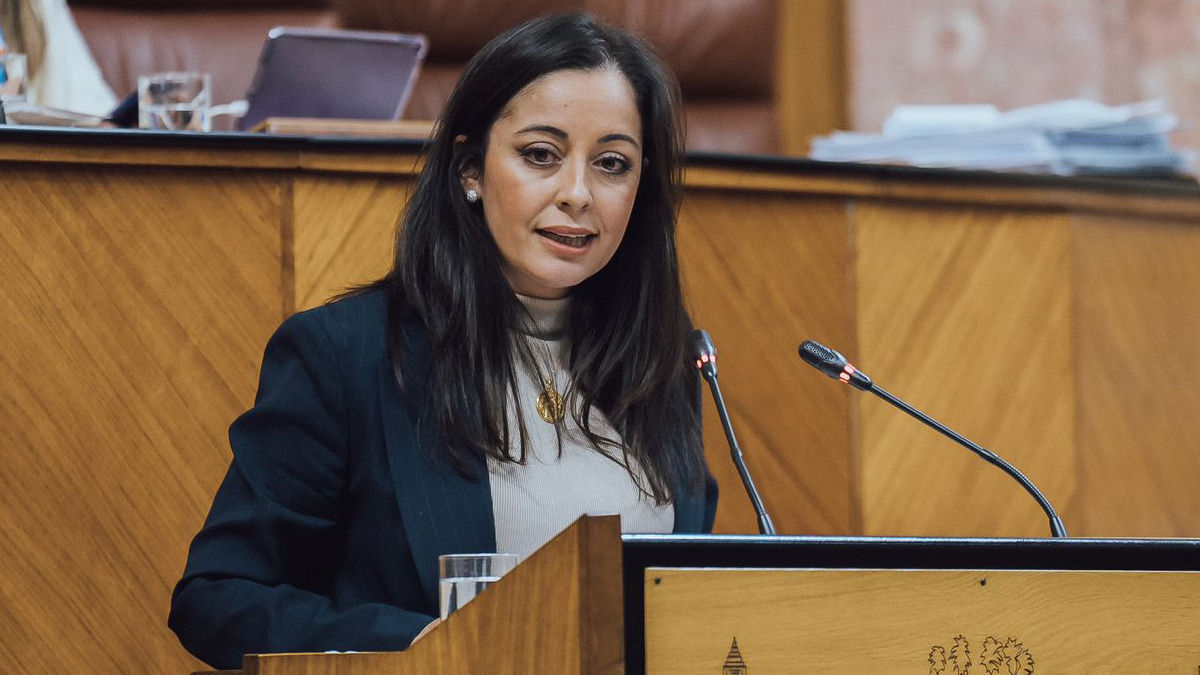 VOX afea al Gobierno del PP su rechazo a la comisión de la FAFFE: “O se ...