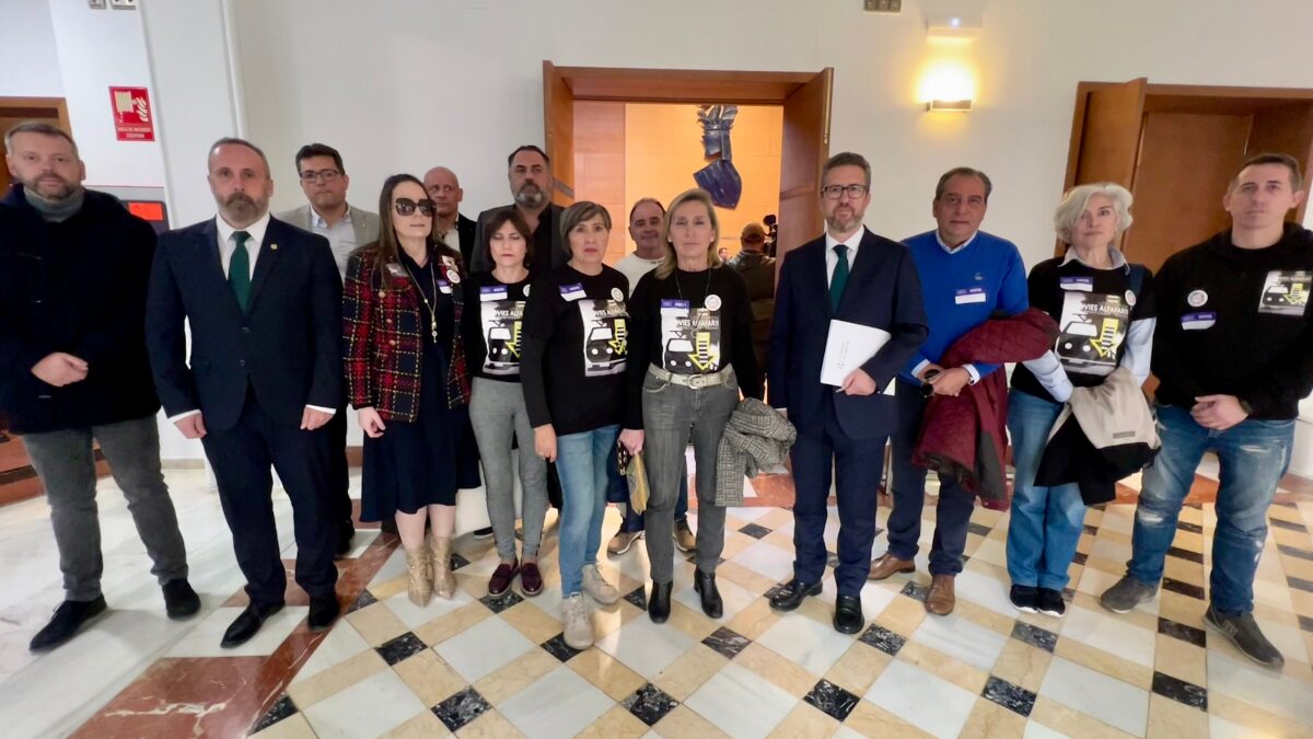 La Diputación de Valencia aprueba el soterramiento de las vías en Benetusser, Alfafar y Sedaví ...