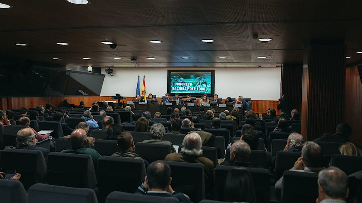 VOX insta al Gobierno de España a actuar de manera urgente en defensa ...