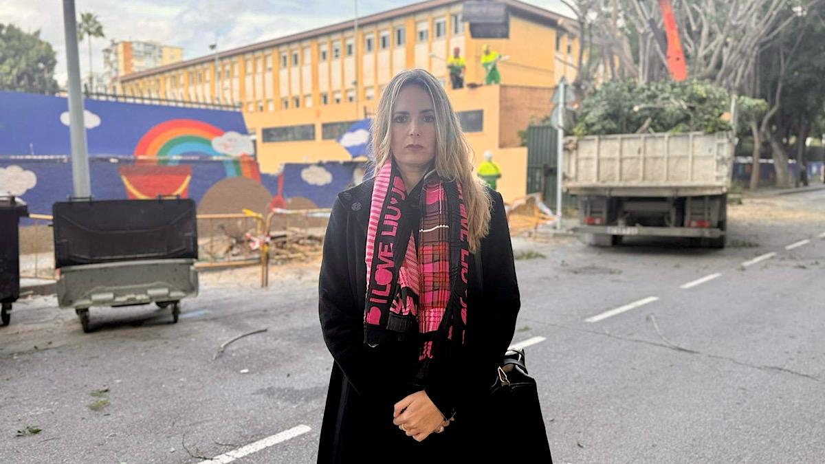 VOX exige explicaciones al Ayuntamiento tras la caída de un árbol en un ...